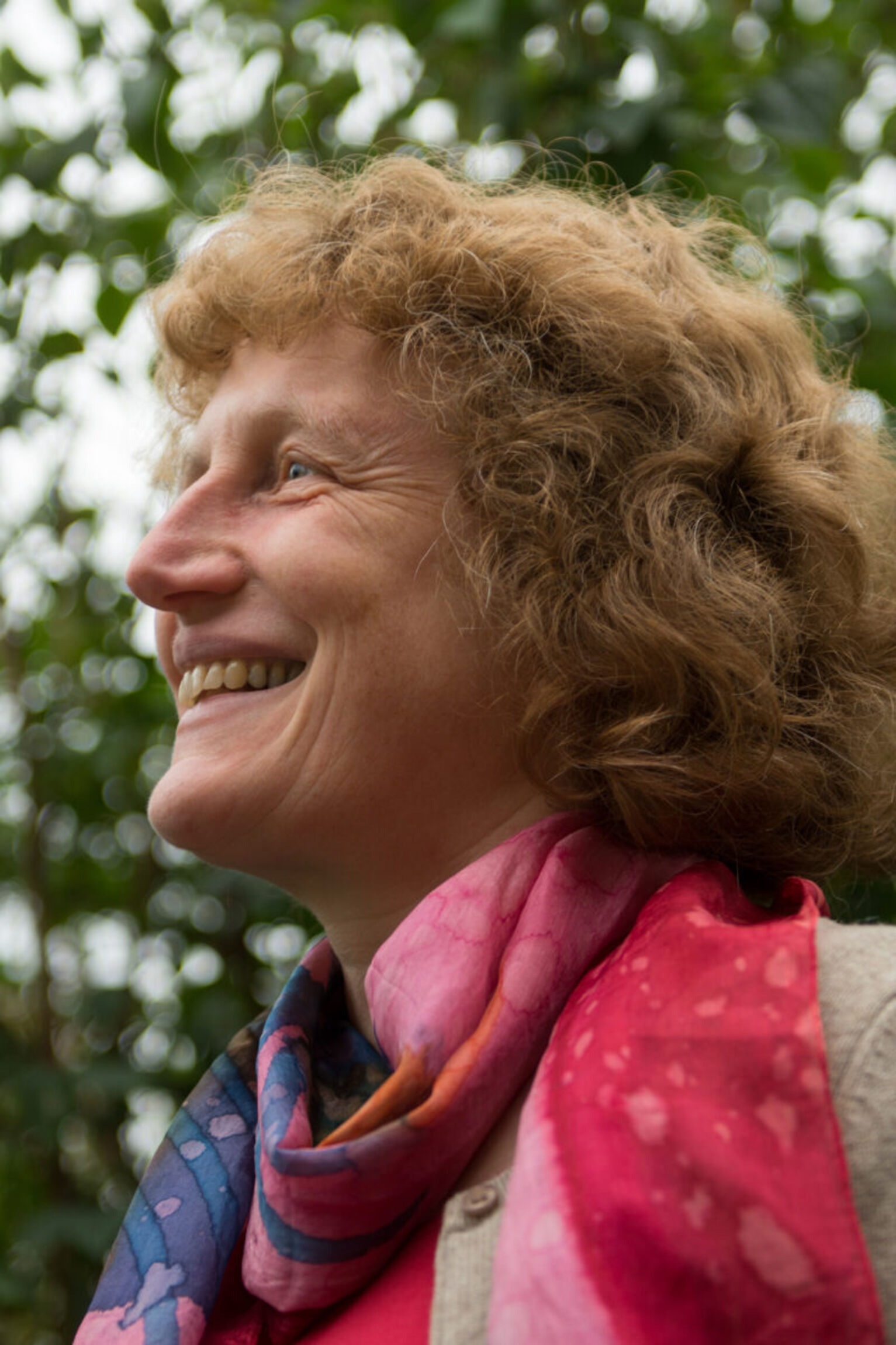 Kreiskantorat Bremerhaven – Tage alter Musik 2026